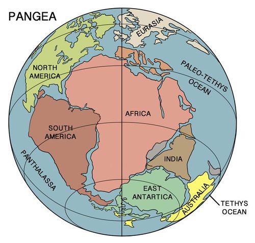 Plate Tectonics 7th Grade Flashcard | Wayground (formerly Quizizz)