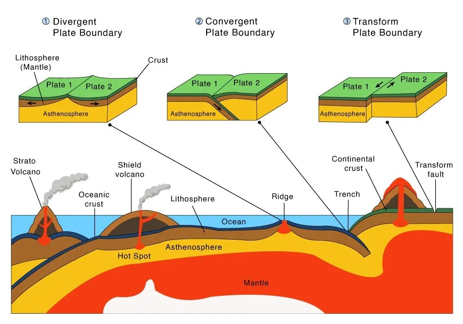 Plate Tectonic Test 2024 8th Grade Quiz | Quizizz