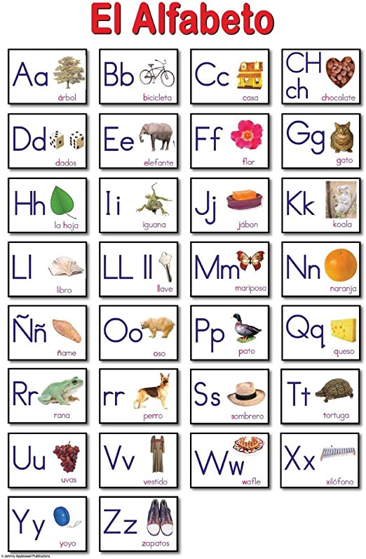 level 0/1A Spanish Alphabet sounds KG Flashcard | Quizizz