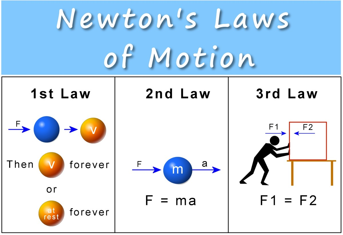 Newton's Laws 7th Grade Flashcard | Wayground