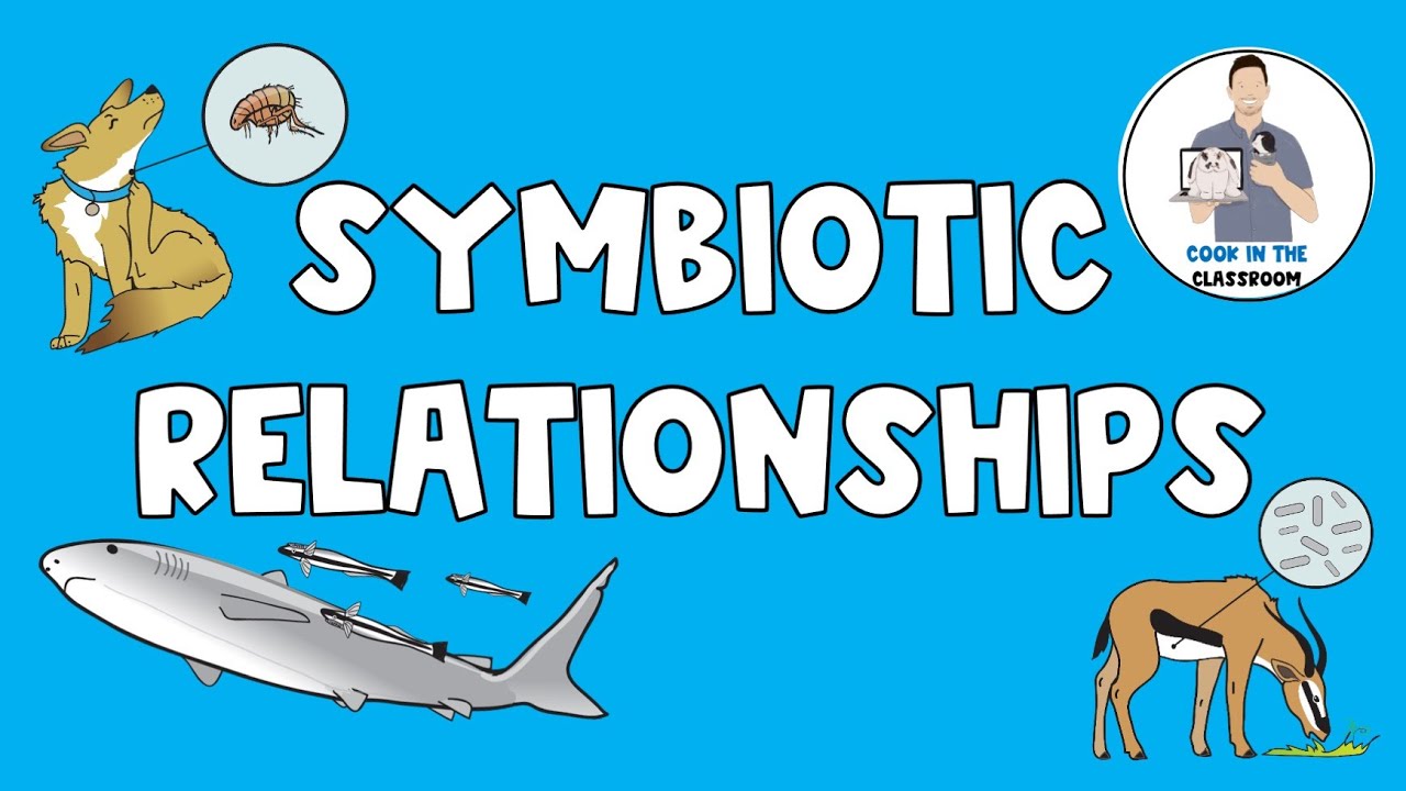 Ecology and Symbiotic Relationships 8th Grade Quiz | Wayground ...