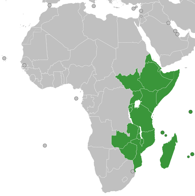 East African City-States Quiz 7th Grade Quiz | Quizizz