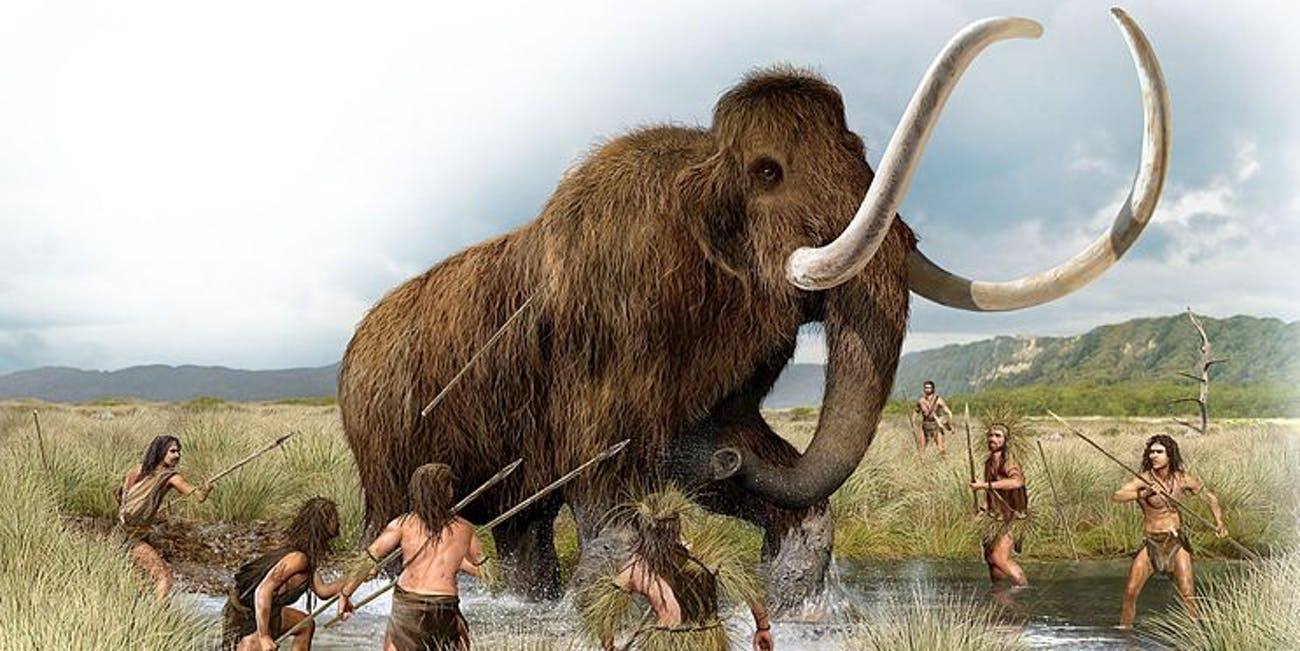 Chapter 4 Test: Surviving a New World 5th Grade Quiz | Wayground