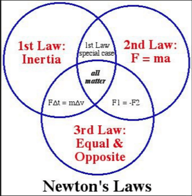 Newton's Laws Final Review 6th Grade Quiz | Wayground