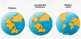 Continental Drift and Fossils Quiz 8th Grade Quiz | Quizizz