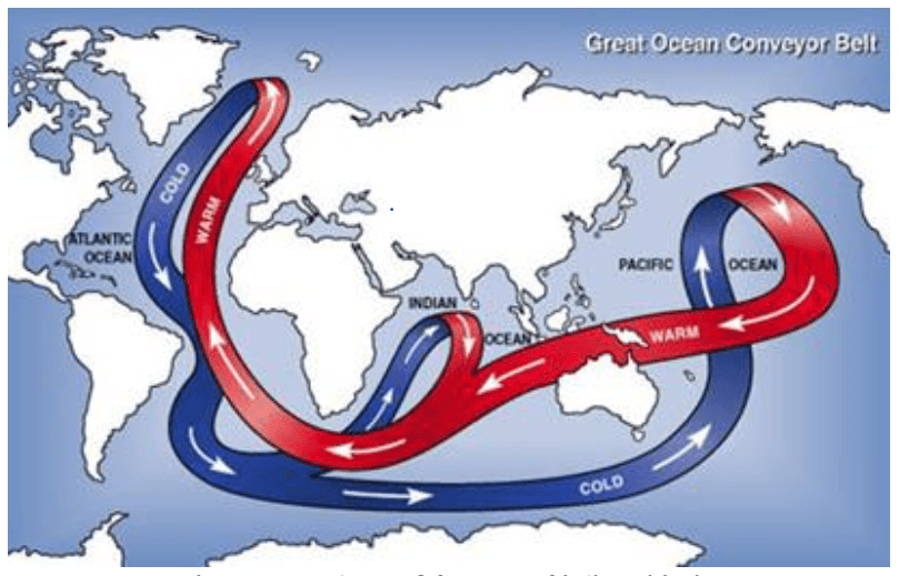 Ocean Currents and Density Mini Flashcard 7th Grade Flashcard | Wayground
