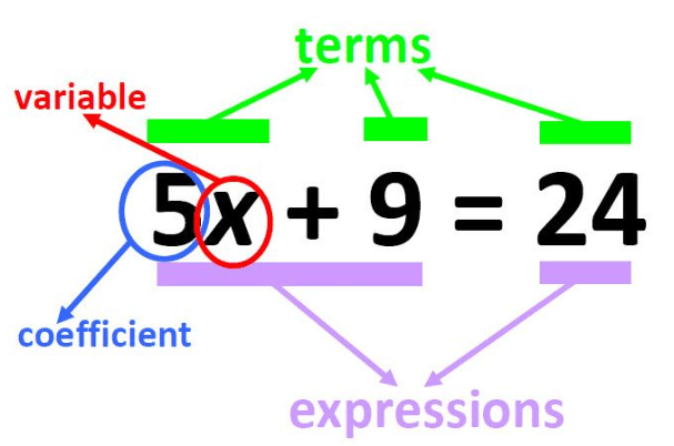 Understanding Variables, Constants, and Operators Flashcard
