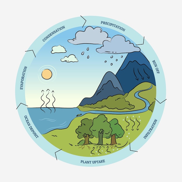 The Water Cycle Quiz Quiz