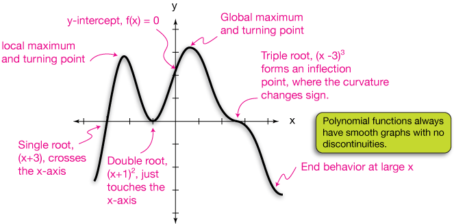Polynomial Graphs Key Features 9th - 12th Grade Flashcard | Wayground (formerly Quizizz)