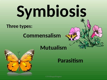 Symbiotic Relationships in Ecology 7th Grade Flashcard | Quizizz