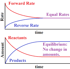 Equilibrium Graphs 11th Grade Flashcard | Wayground