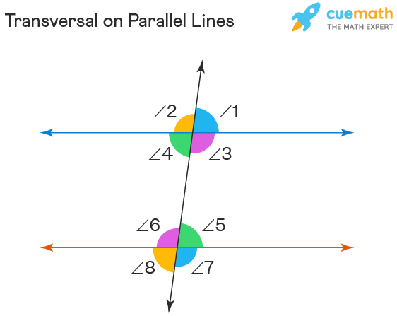 Lesson 6-8 Additional Practice HW (Math6) 6th Grade Flashcard | Quizizz