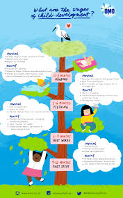 Ch.2 Flashcard Child Development 9th - 12th Grade Flashcard | Quizizz