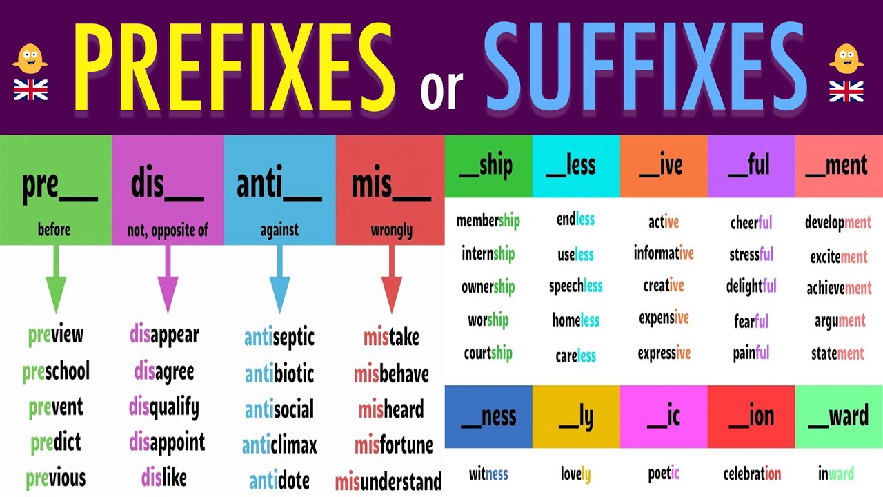 Understanding Prefixes and Suffixes 3rd Grade Flashcard | Quizizz