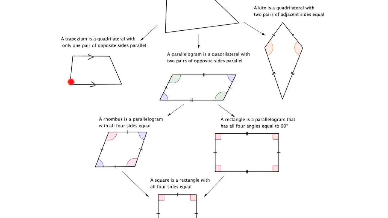 Quadrilateral Test Review 9th - 12th Grade Flashcard | Wayground
