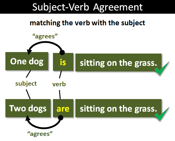 Subject-Verb Agreement with 'The number' and 'A number' 10th Grade ...