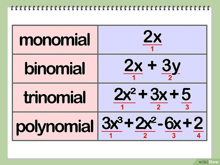 Polynomial Questions 9th Grade Quiz | Quizizz