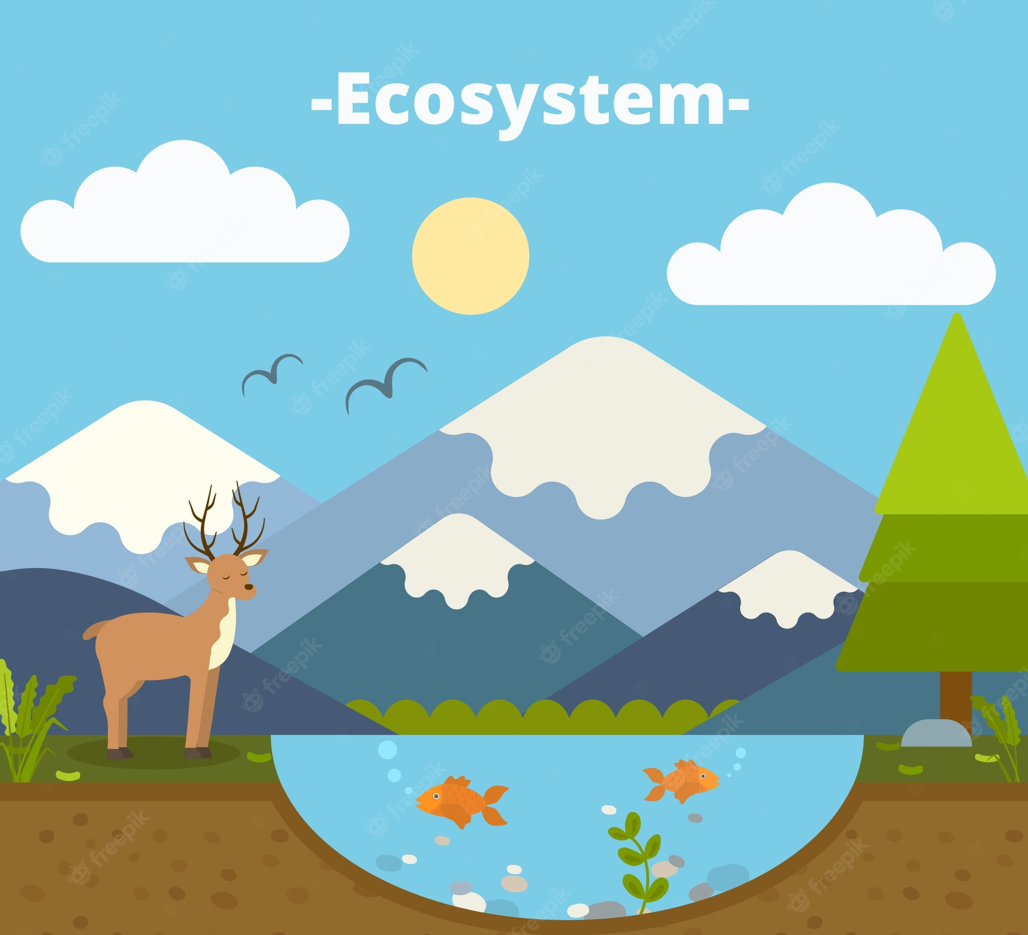 Ecosystem Unit Test Review 5th Grade Quiz | Wayground