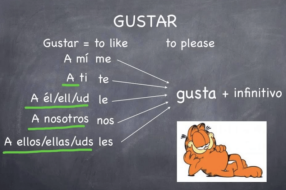Verbs Like Gustar 10th - 12th Grade Flashcard | Wayground