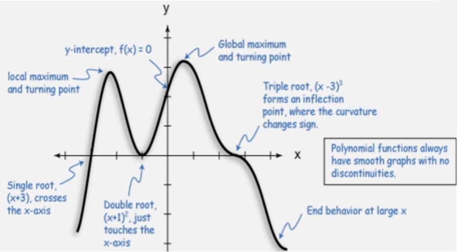Inverse Function on Coordinate Plane 9th Grade Quiz | Quizizz