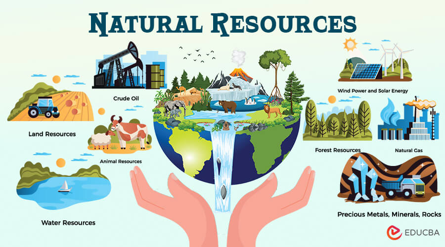 Grade 3 Science Unit 4 Review: Natural Resources 3rd Grade Flashcard ...