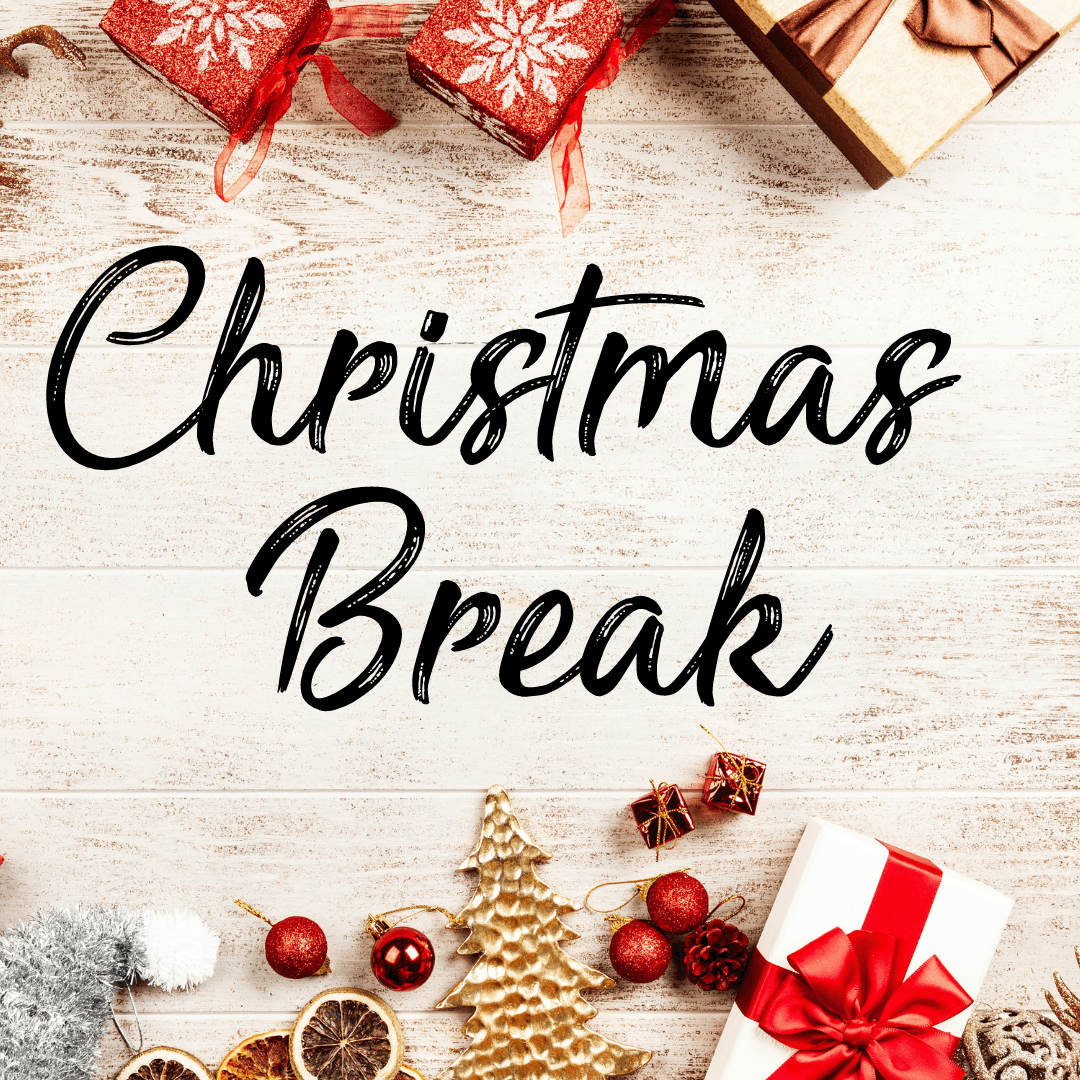 Reflections on Christmas Break 4th Grade Quiz | Wayground