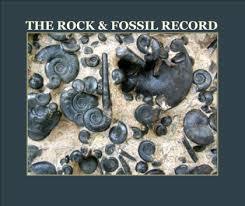 Geologic Time 7th Grade Quiz | Quizizz