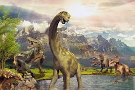 Mystery Science Lesson 7 5th Grade Flashcard | Wayground (formerly Quizizz)